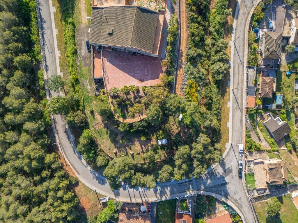 Fundació Amicorum